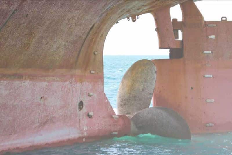 More Attention Needed To Prevent Barnacle Fouling In Ship Niche Areas ...