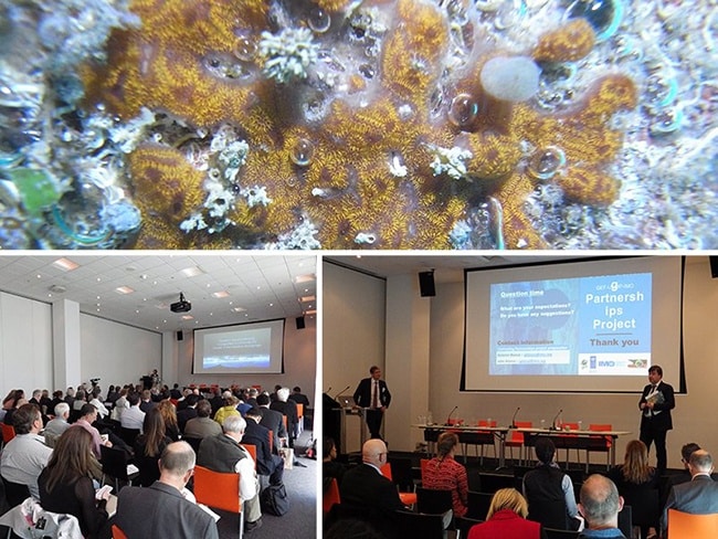 IMO: Biofouling Management For Sustainable Shipping - The Marine Learners